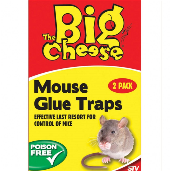Big Cheese Glue Traps